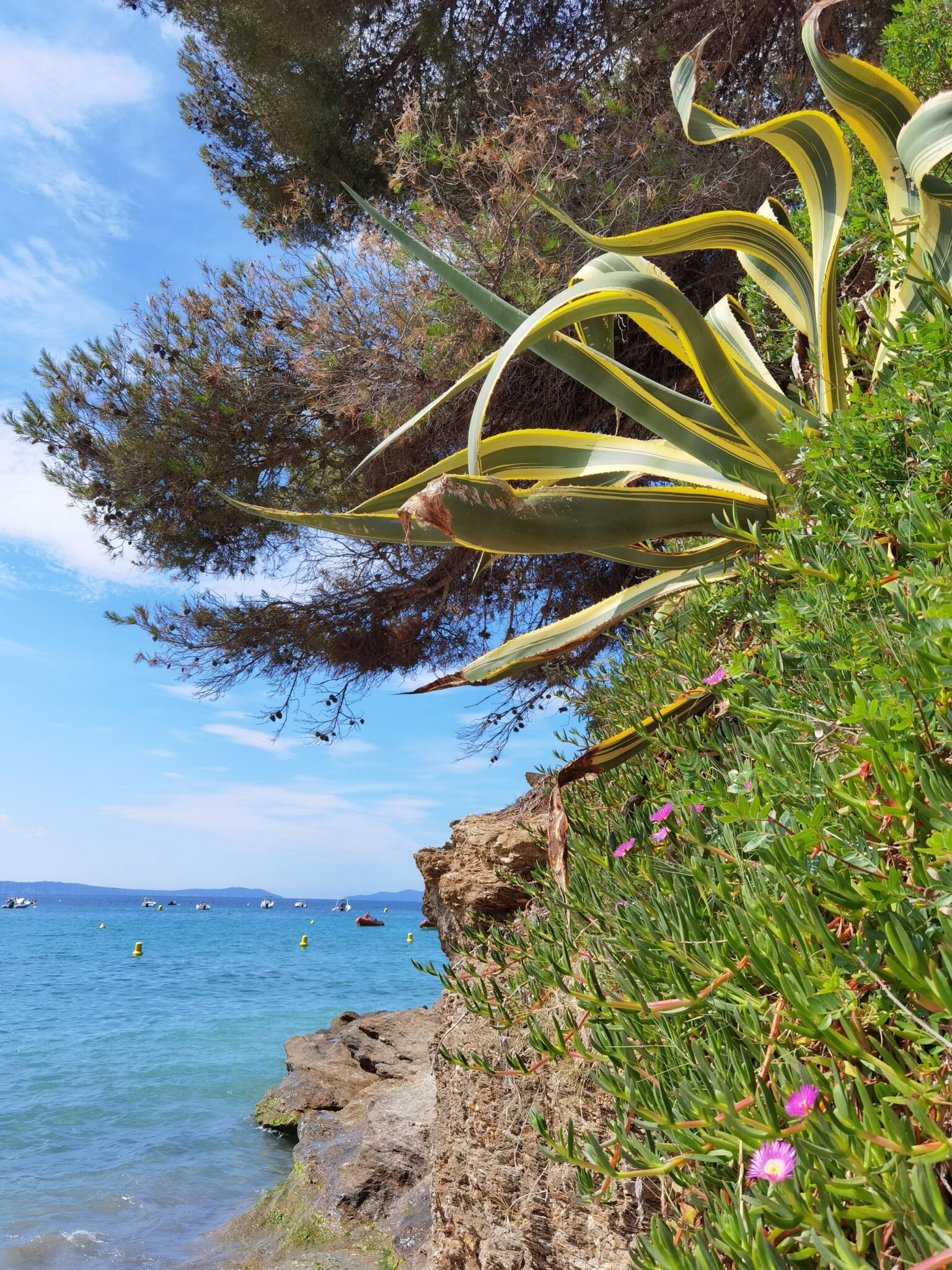 Top 10 des plus belles plages du Var
